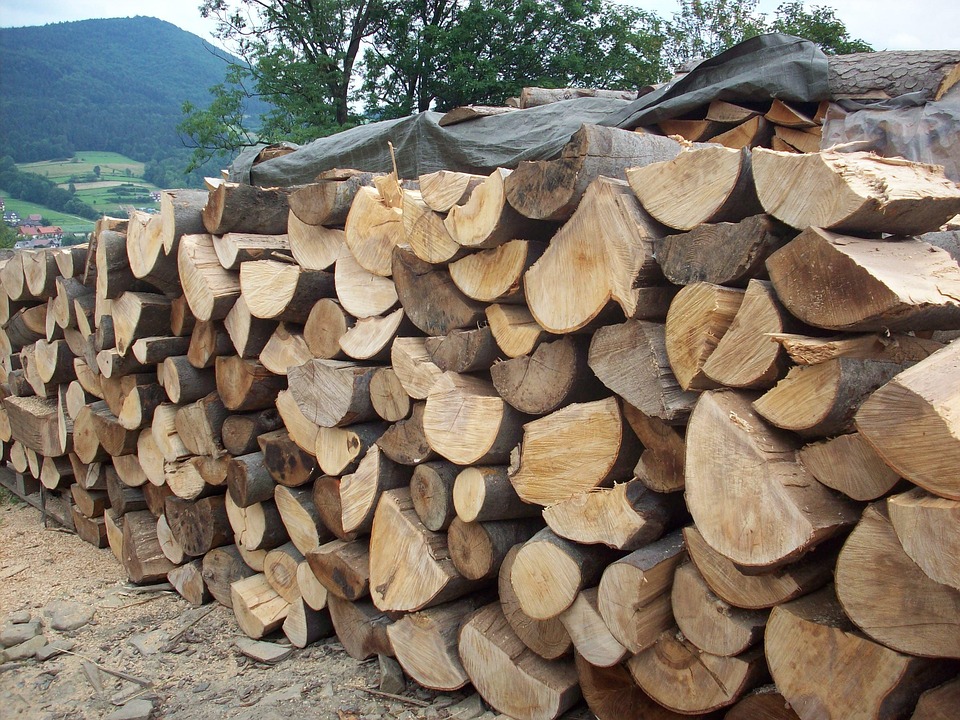 Madera - Foto gratis en Pixabay