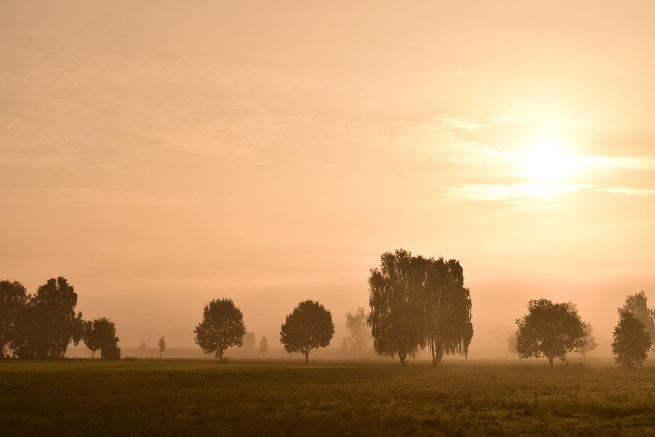 Morning Mist Fog Landscape - Free photo on Pixabay - Pixabay
