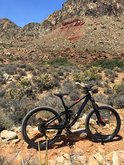 Mtb Mountain Bike Black Red - Free photo on Pixabay - Pixabay