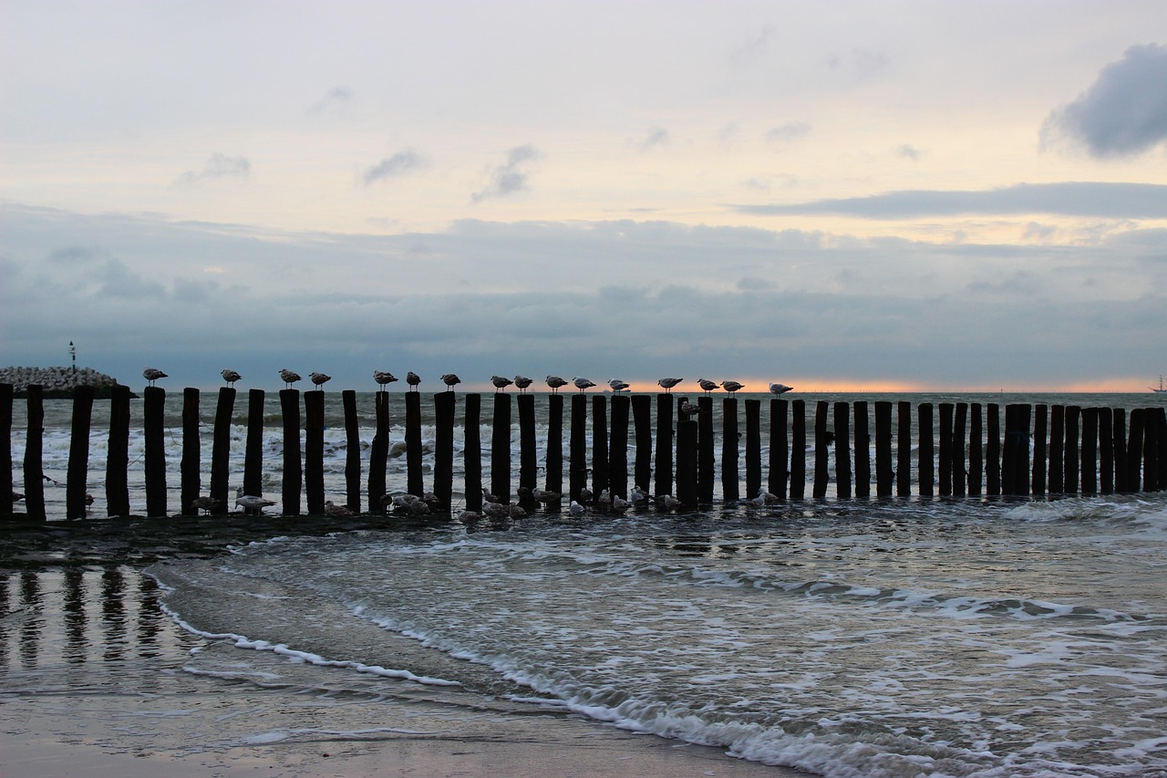 Cadzand Bad Netherlands Holland - Free photo on Pixabay - Pixabay