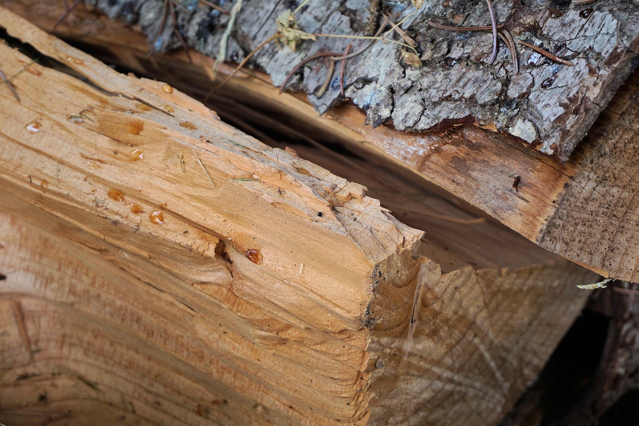 Wood Firewood Structure Sawed - Free photo on Pixabay - Pixabay