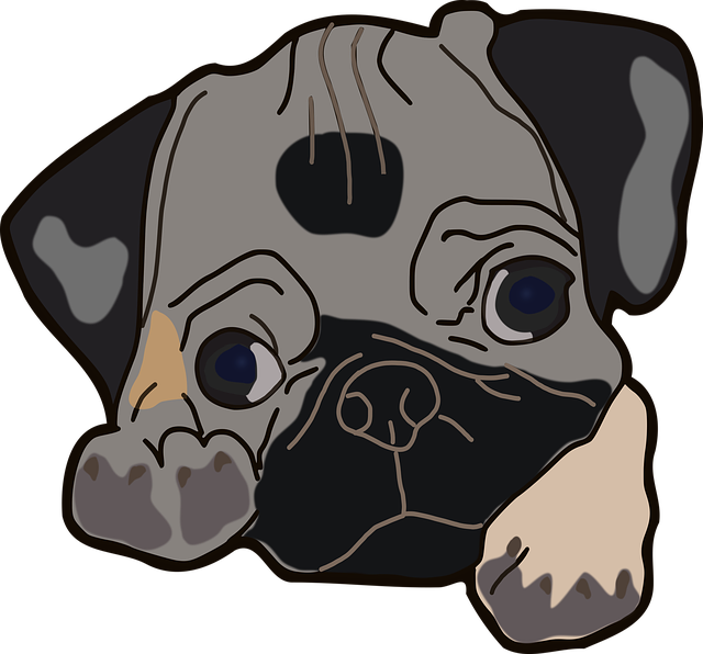 Explore 21,987+ Free Funny Dog Face Illustrations: Download Now - Pixabay