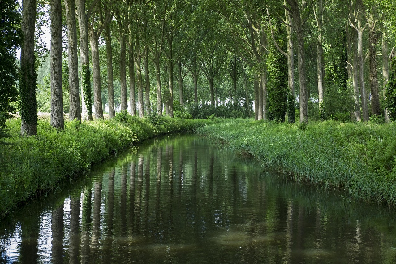 Bruges Damme Canal Lumière - Photo gratuite sur Pixabay - Pixabay