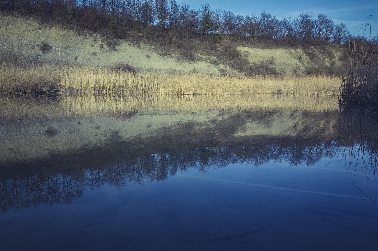 Renaturation Lake Pit - Free photo on Pixabay - Pixabay