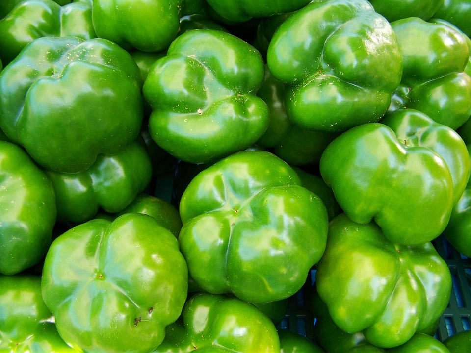Free Photo Pepper Green Vegetables Free Image On Pixabay 1545314 Free Photo Pepper Green Vegetables Free Image On Pixabay 1545314