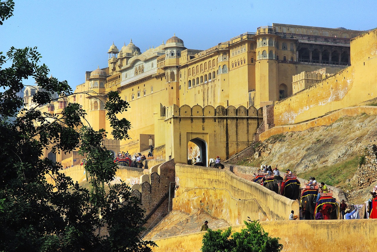 India Ámbar Fuerte - Foto gratis en Pixabay - Pixabay