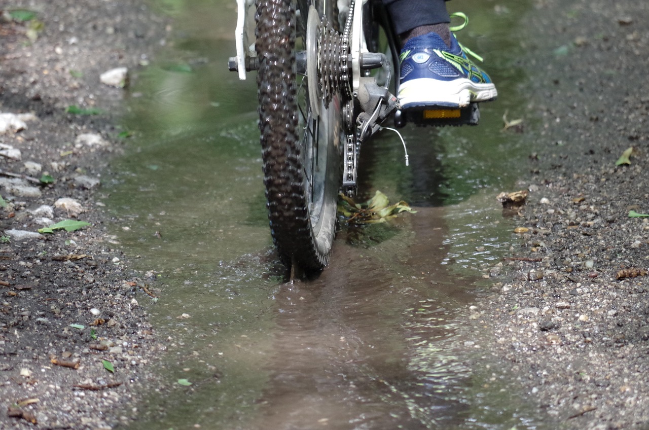 A Bike Pool Ride - Free photo on Pixabay - Pixabay