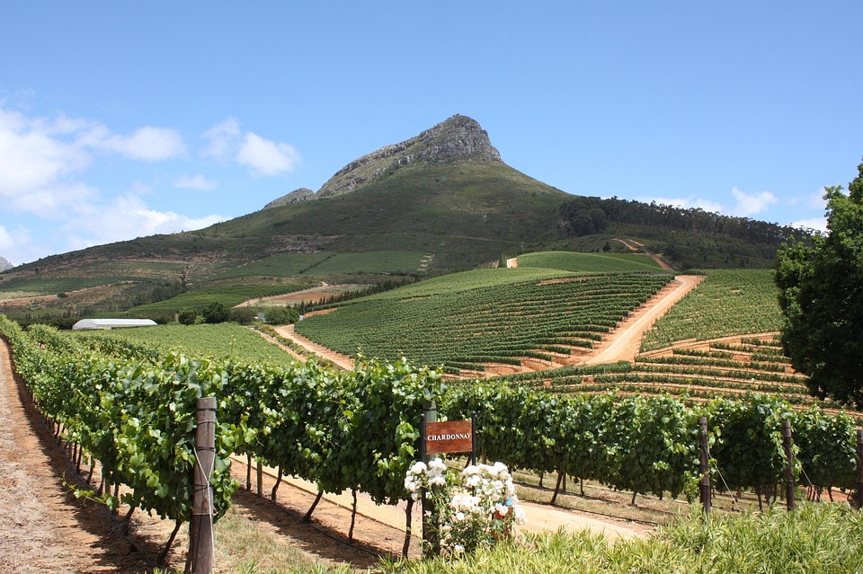 Delaire Graff Winery - Free photo on Pixabay