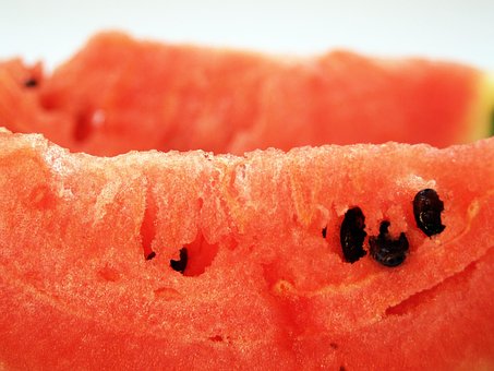 50+ Free Watermelon Background & Watermelon Images - Pixabay