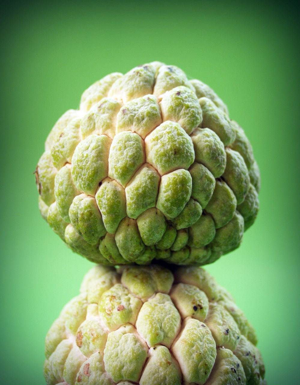 10,000+ Free Custard Apples & Apple Images - Pixabay