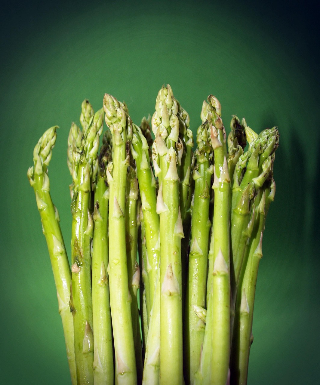 Food Asparagus Gourmet - Free photo on Pixabay