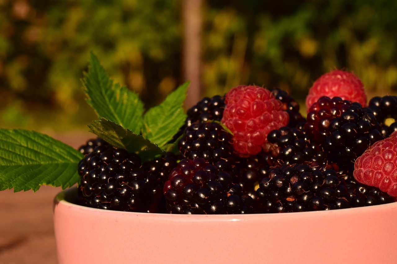 100+ kostenlose Waldbeeren und Obst-Bilder - Pixabay