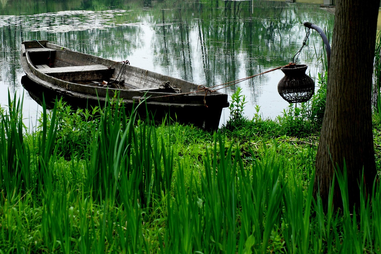 Más de 2 000 imágenes gratis de Humedales y Naturaleza - Pixabay