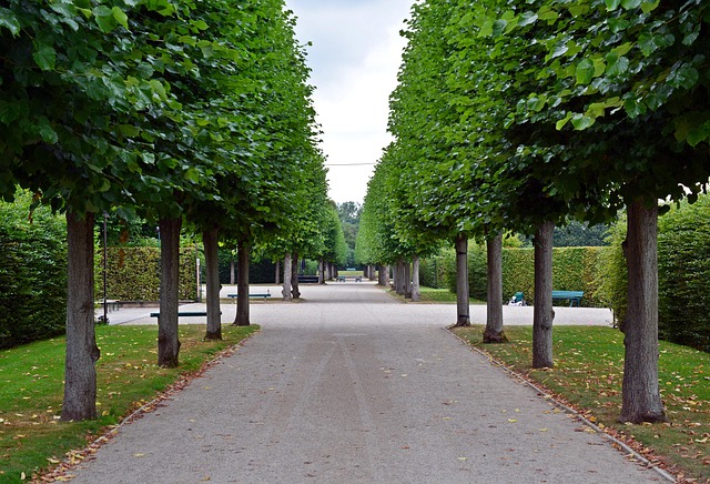 Path Park Trees Manor - Free photo on Pixabay