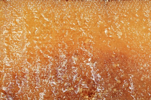 Honeycomb Honey Yummy - Free photo on Pixabay
