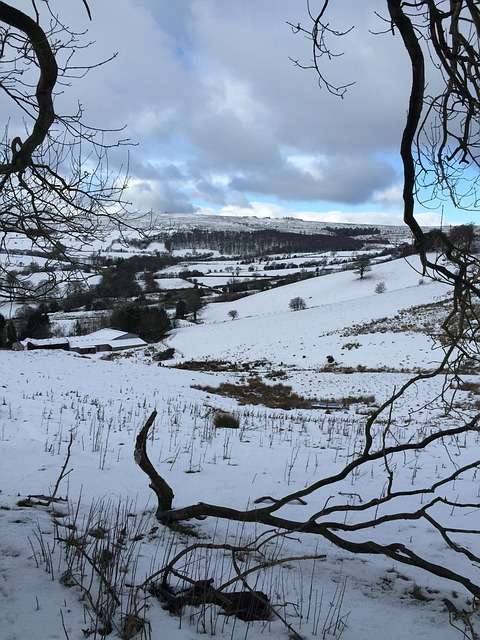 Snow Hills Nature - Free photo on Pixabay - Pixabay