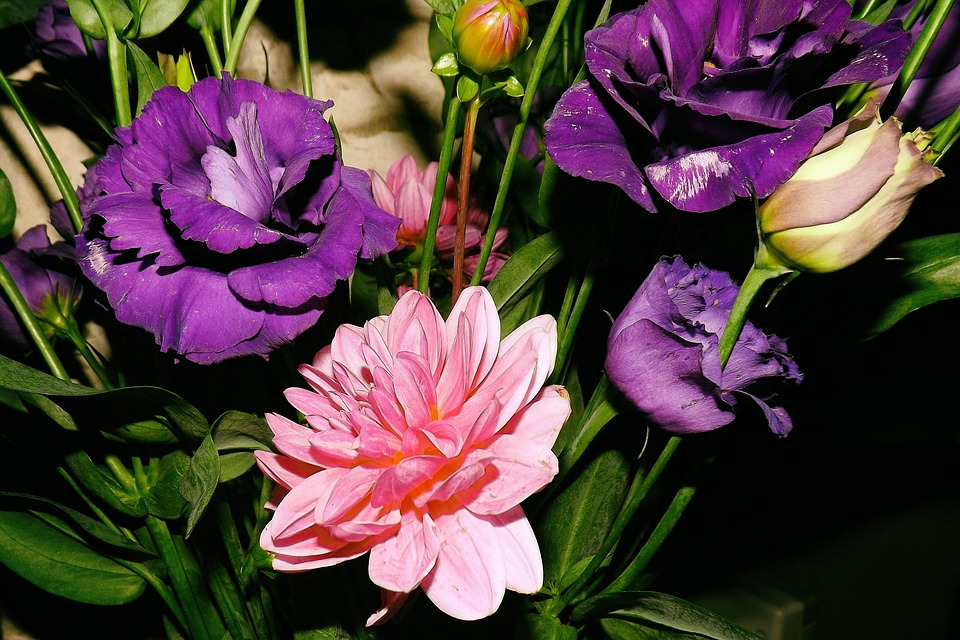 Bouquet De Fleurs Multicolore Rose - Photo gratuite sur Pixabay - Pixabay