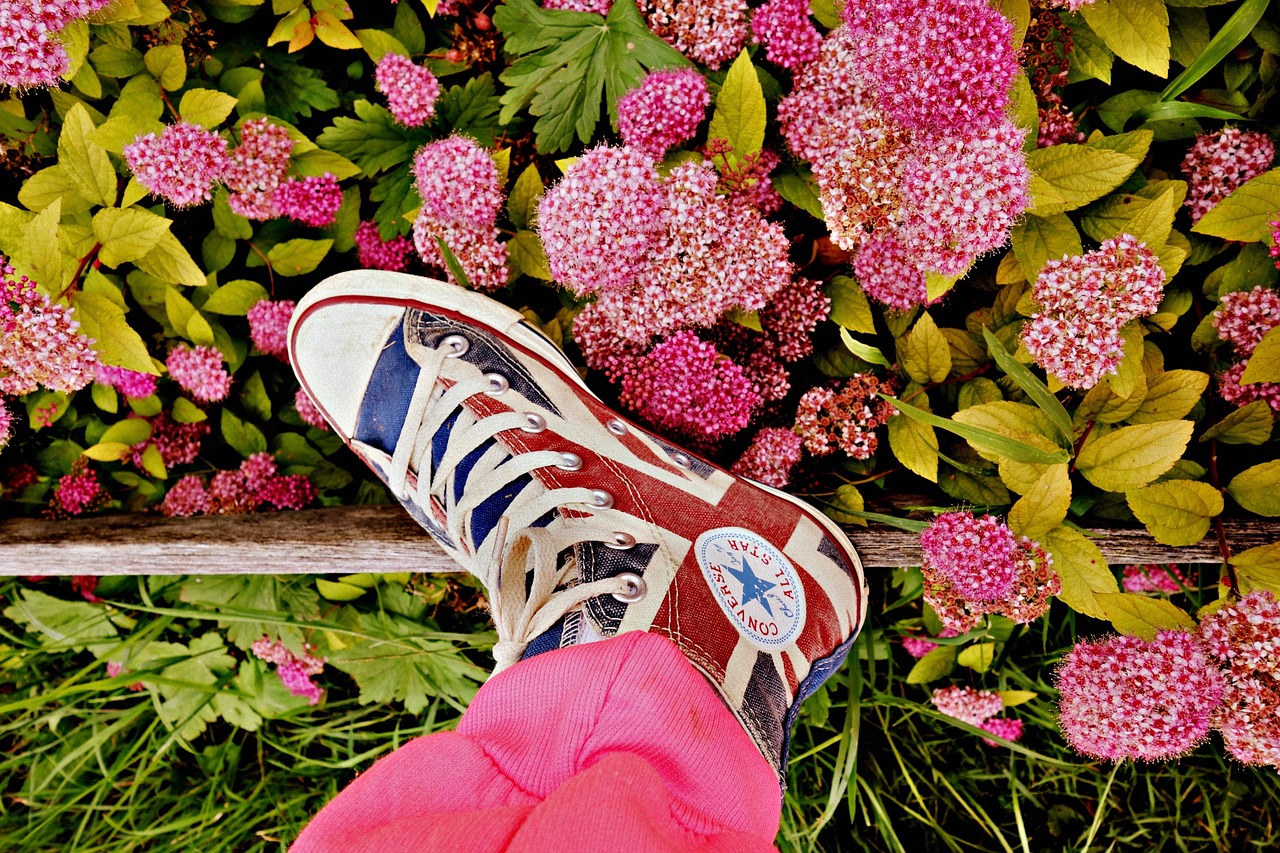 Foot Leg Shoe - Free photo on Pixabay - Pixabay