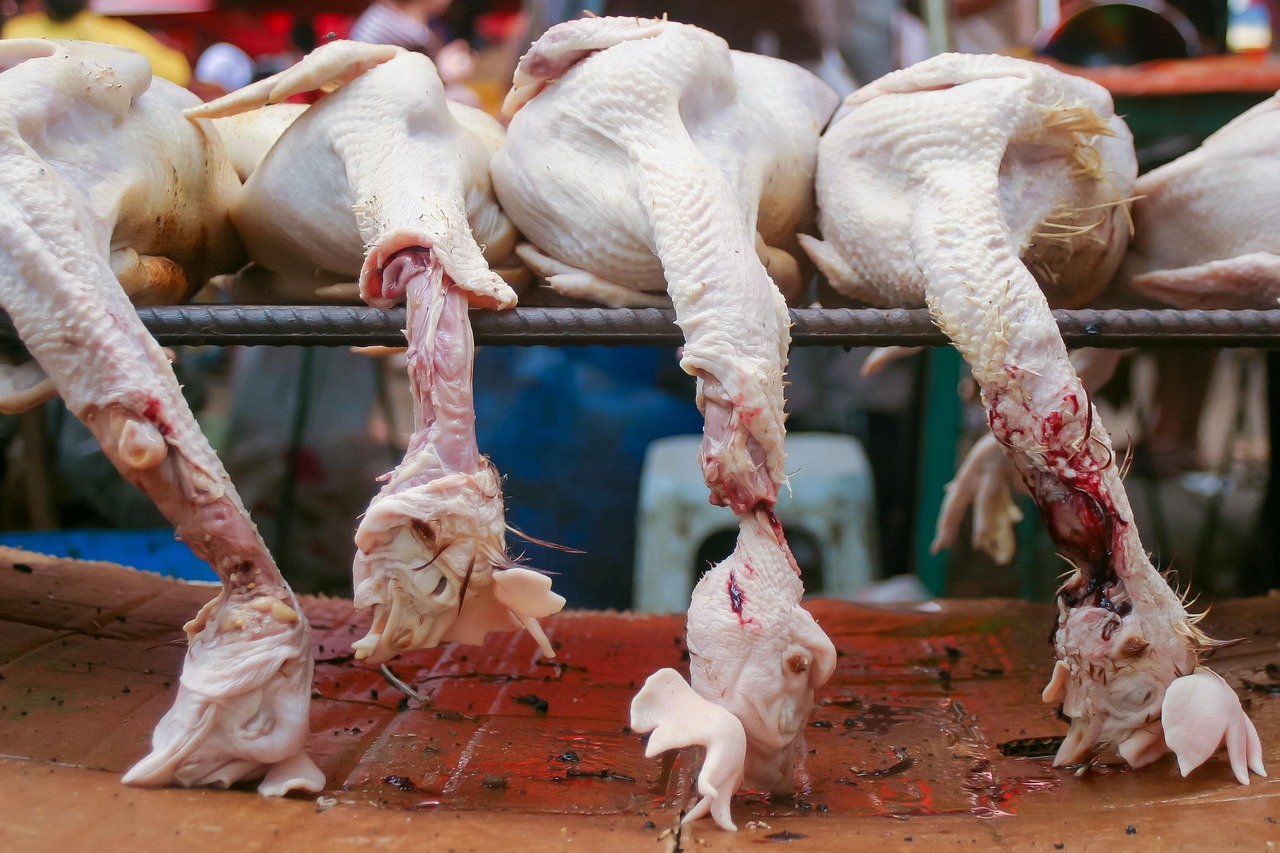 Chicken Market Food - Free photo on Pixabay - Pixabay