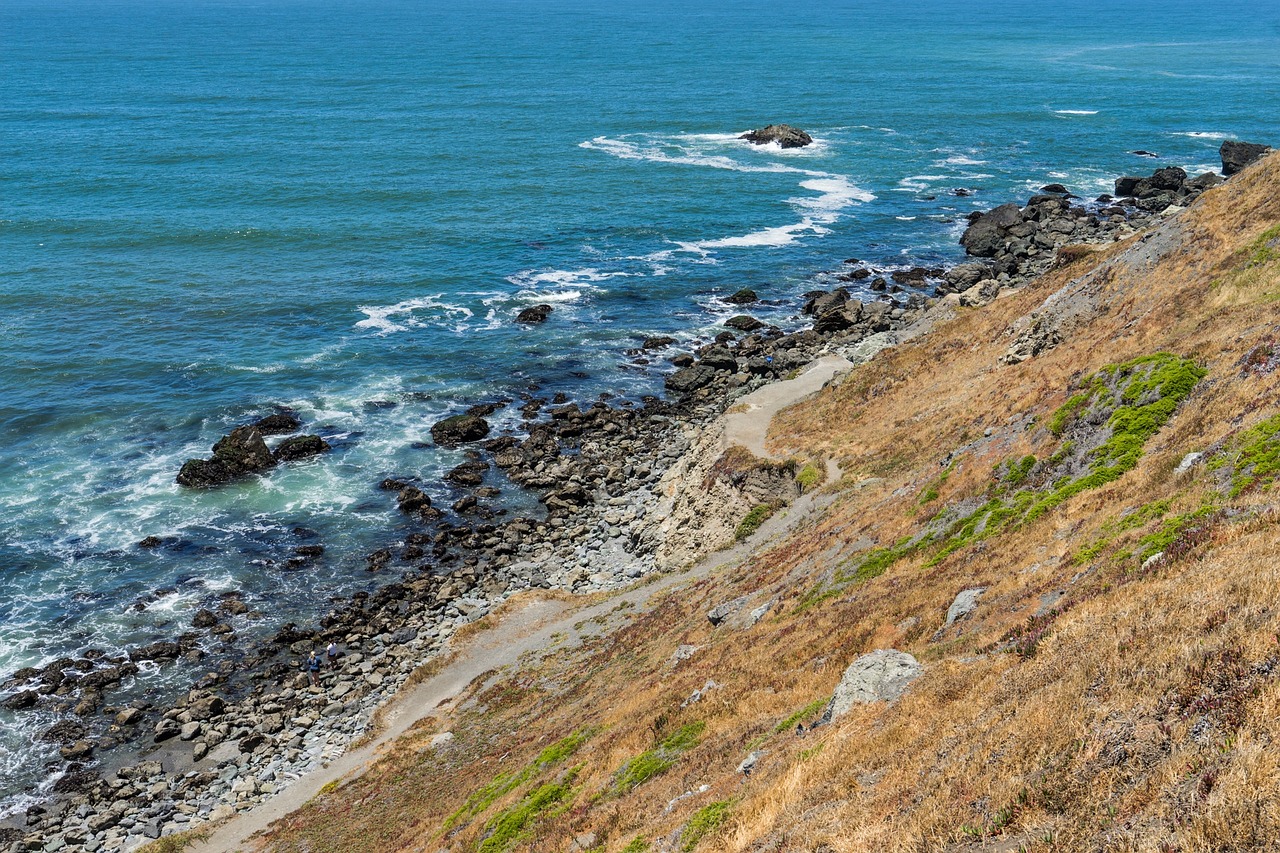 Seashore Walk Path - Free photo on Pixabay - Pixabay
