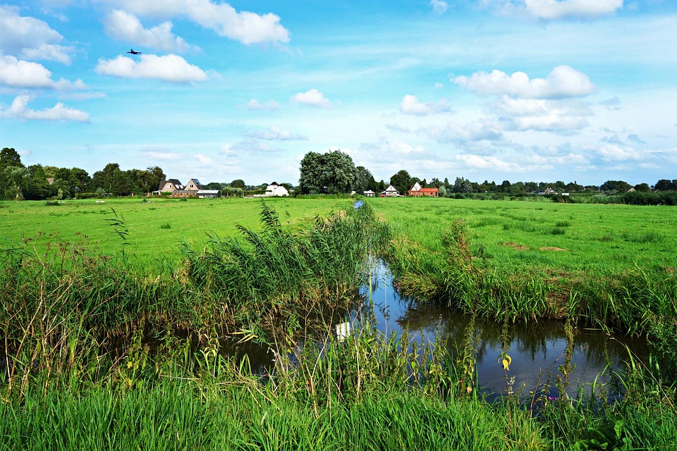Dutch Landscape Polder - Free photo on Pixabay - Pixabay