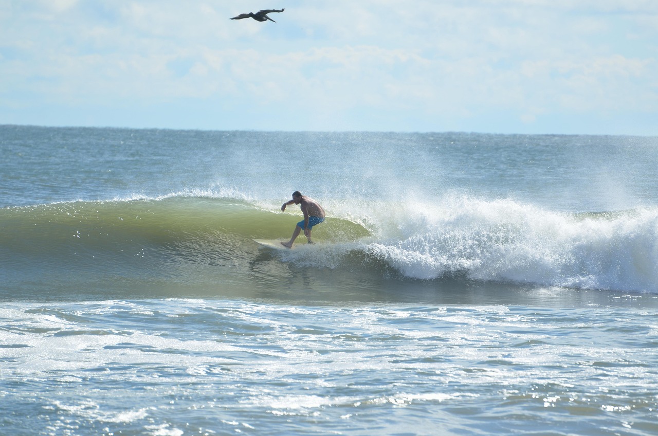 Surfer Surfing Ocean Free Photo On Pixabay