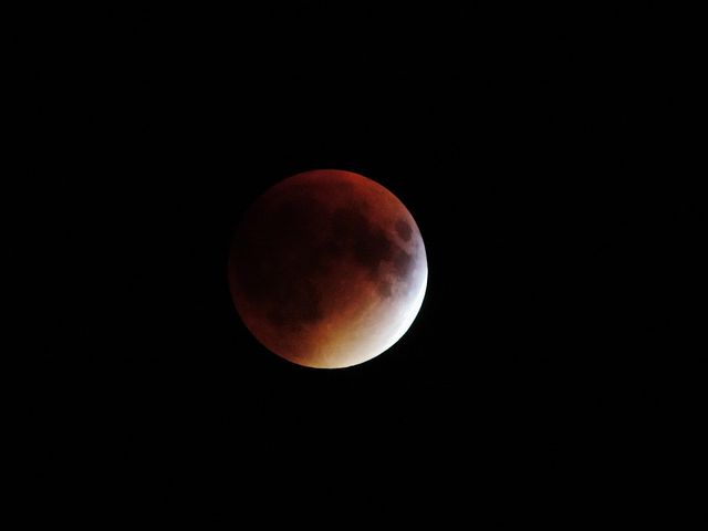 30+ Free Harvest Moon & Moon Images - Pixabay
