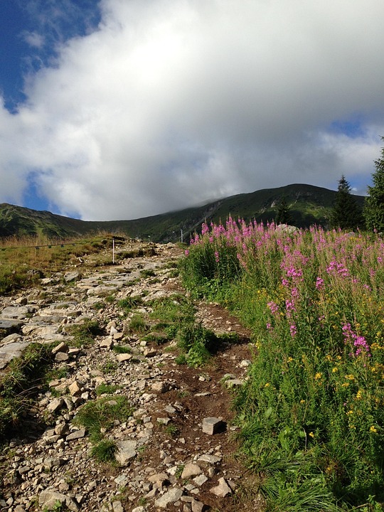 Tatry Góry Szlak - Darmowe zdjęcie na Pixabay - Pixabay