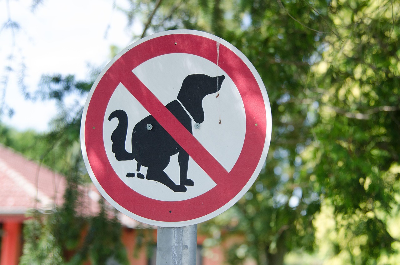 Dog Ban Information Sign - Free photo on Pixabay - Pixabay