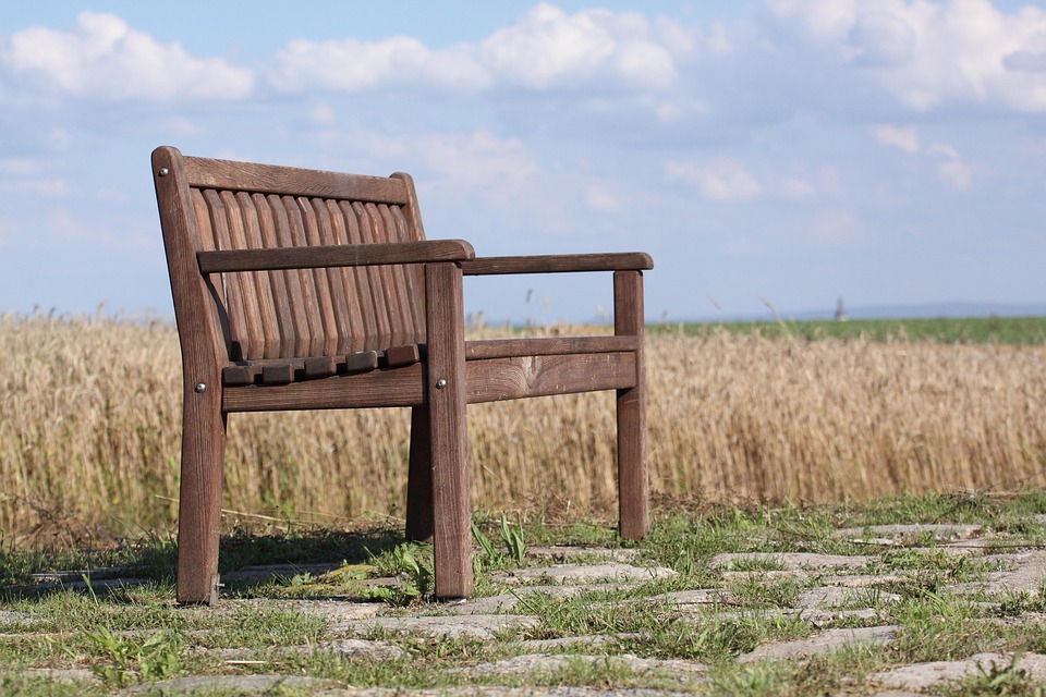 Bank Nature Outdoors - Free photo on Pixabay - Pixabay