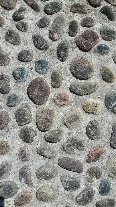 Sassi Fossils Rocks - Free photo on Pixabay - Pixabay