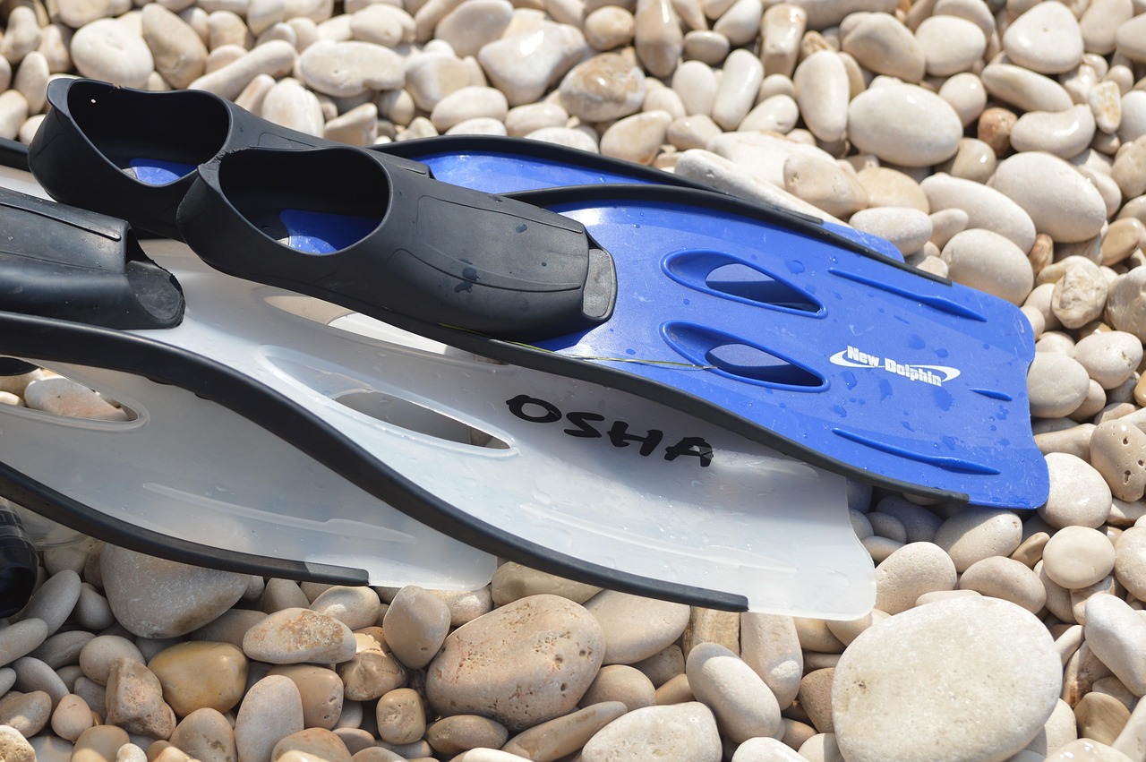 Flippers Diving Snorkeling Water Free Photo On Pixabay