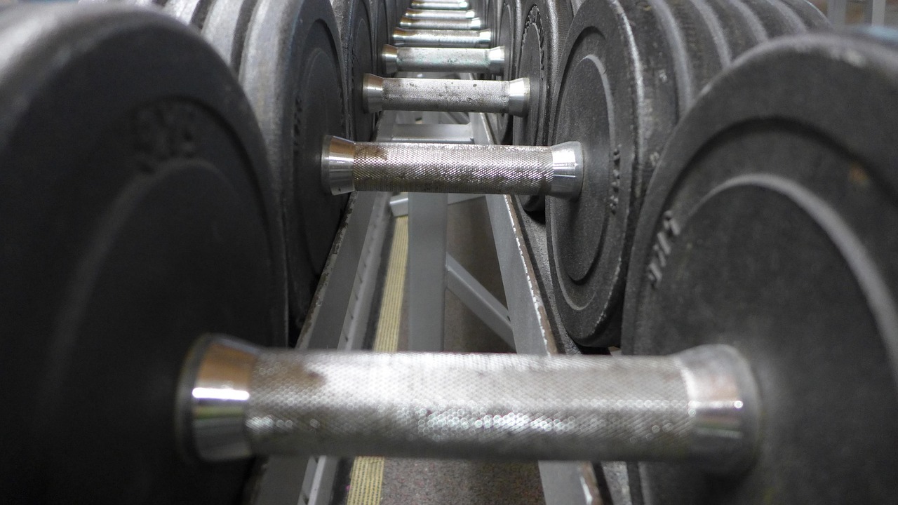 Haltères La Musculation Aptitude - Photo gratuite sur Pixabay - Pixabay