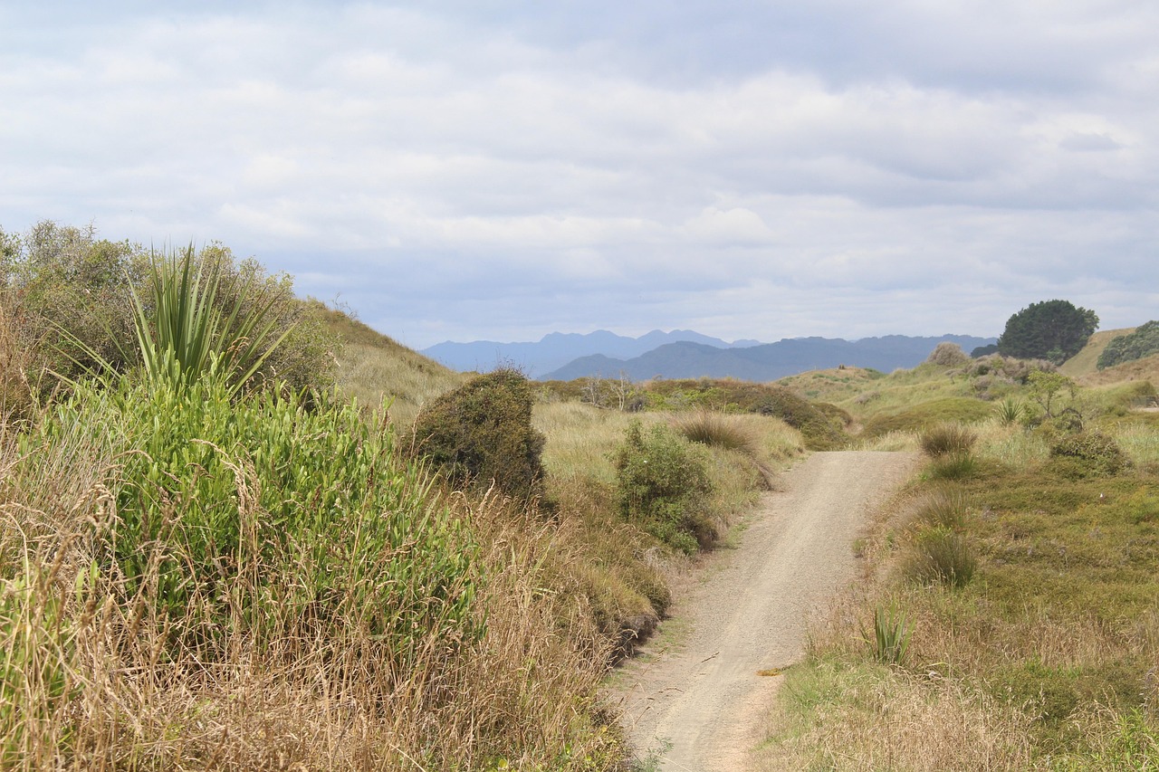 New Zealand Opotiki North Island - Free photo on Pixabay - Pixabay