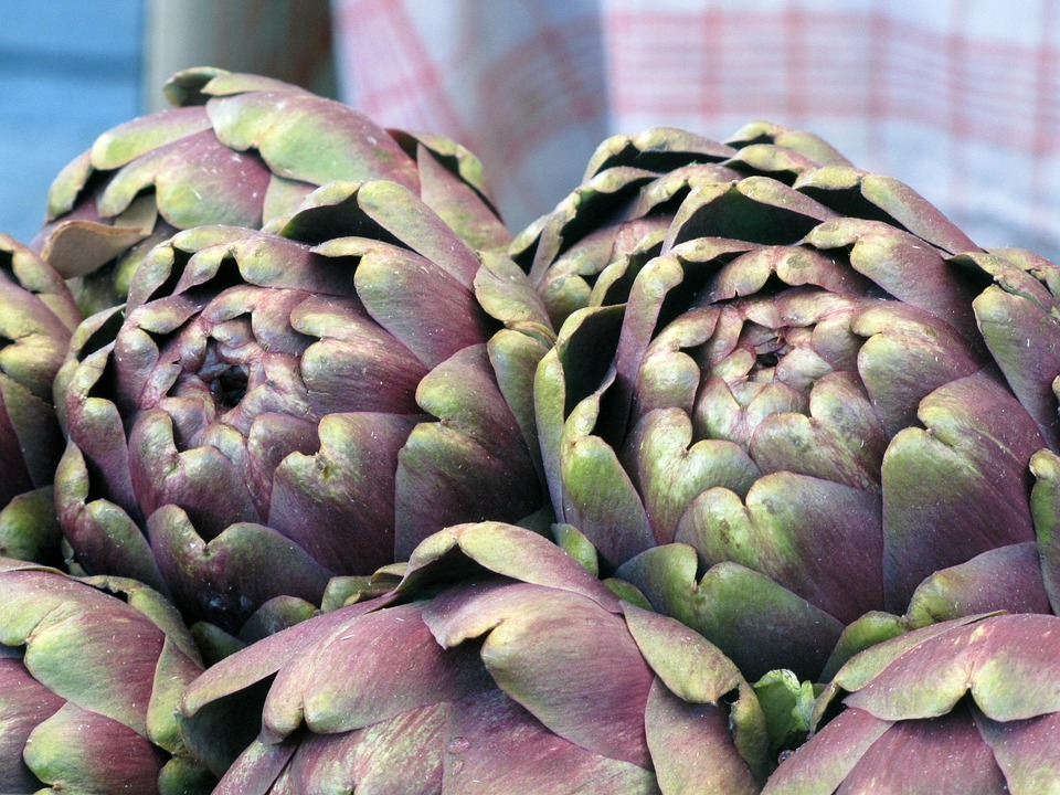 Artichokes Food Vegetarian - Free photo on Pixabay - Pixabay