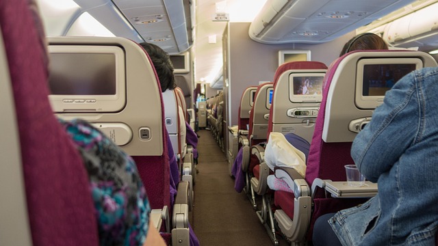 10,000+ Free Plane Inside & Plane Photos - Pixabay
