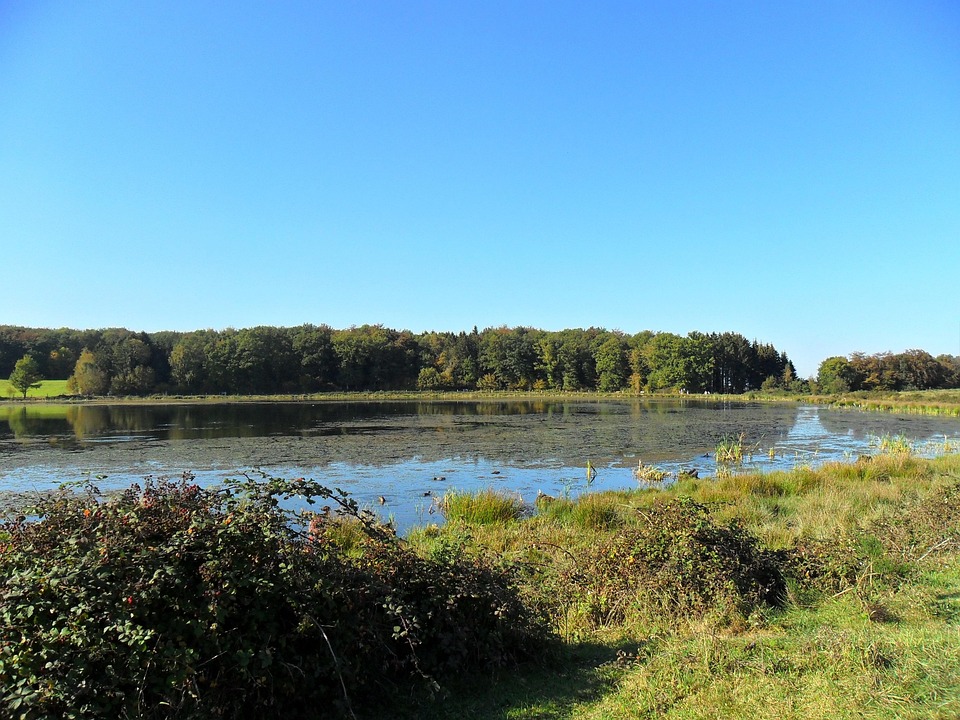 Rodder Maar Brohltal - Free photo on Pixabay - Pixabay
