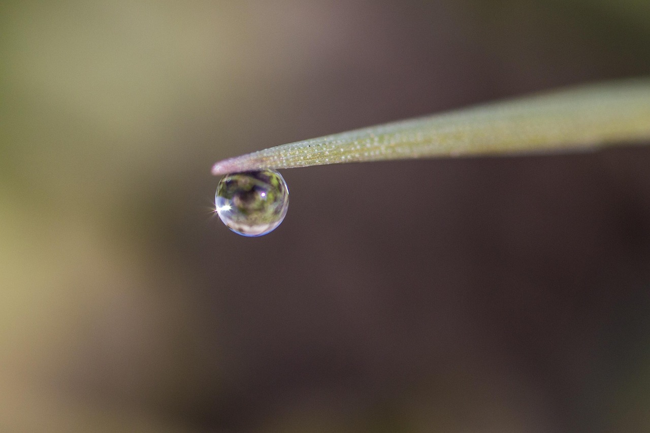 Goutte D'Eau L'Eau Gouttes - Photo gratuite sur Pixabay - Pixabay