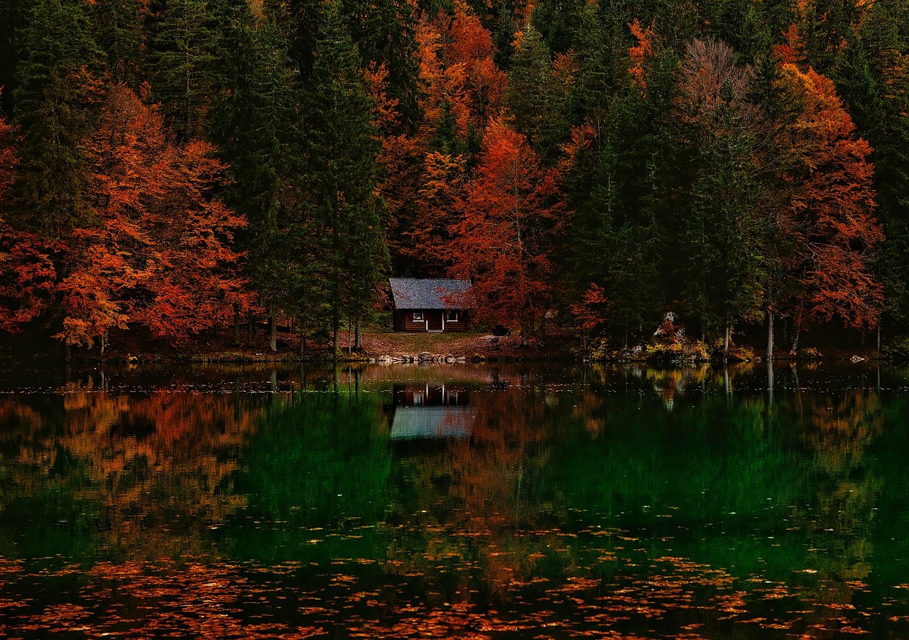 2,000+ Free Cabin & House Images - Pixabay