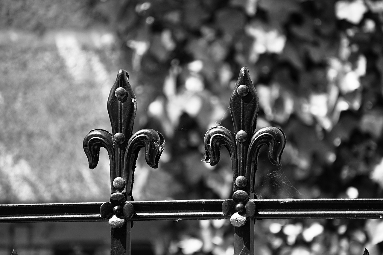 Wrought Iron Lily Flower Metal - Free photo on Pixabay - Pixabay