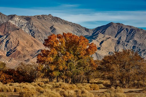 40+ Free Northern California & California Images - Pixabay