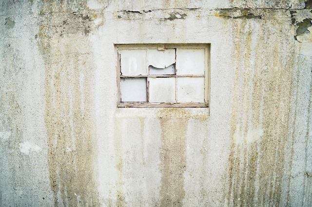 Window Wall Facade - Free photo on Pixabay - Pixabay