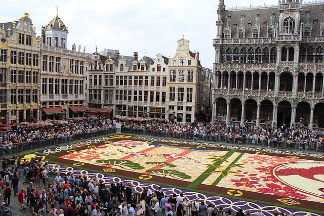 Europe Brussels Flowers Flower - Free photo on Pixabay - Pixabay