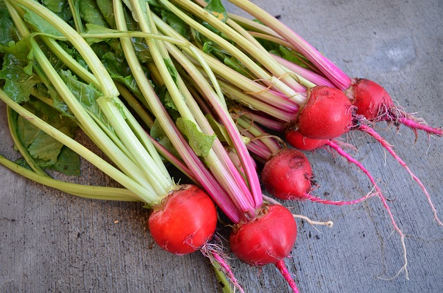 Beets Harvest Organic - Free photo on Pixabay - Pixabay