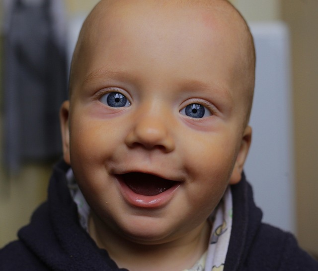 Son Nikita Kid Free Photo On Pixabay Son Nikita Kid Free Photo On Pixabay