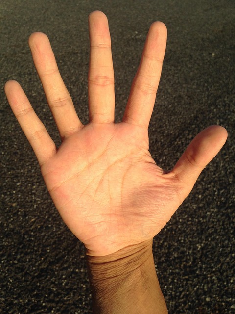 Palm Hand Finger - Free photo on Pixabay - Pixabay