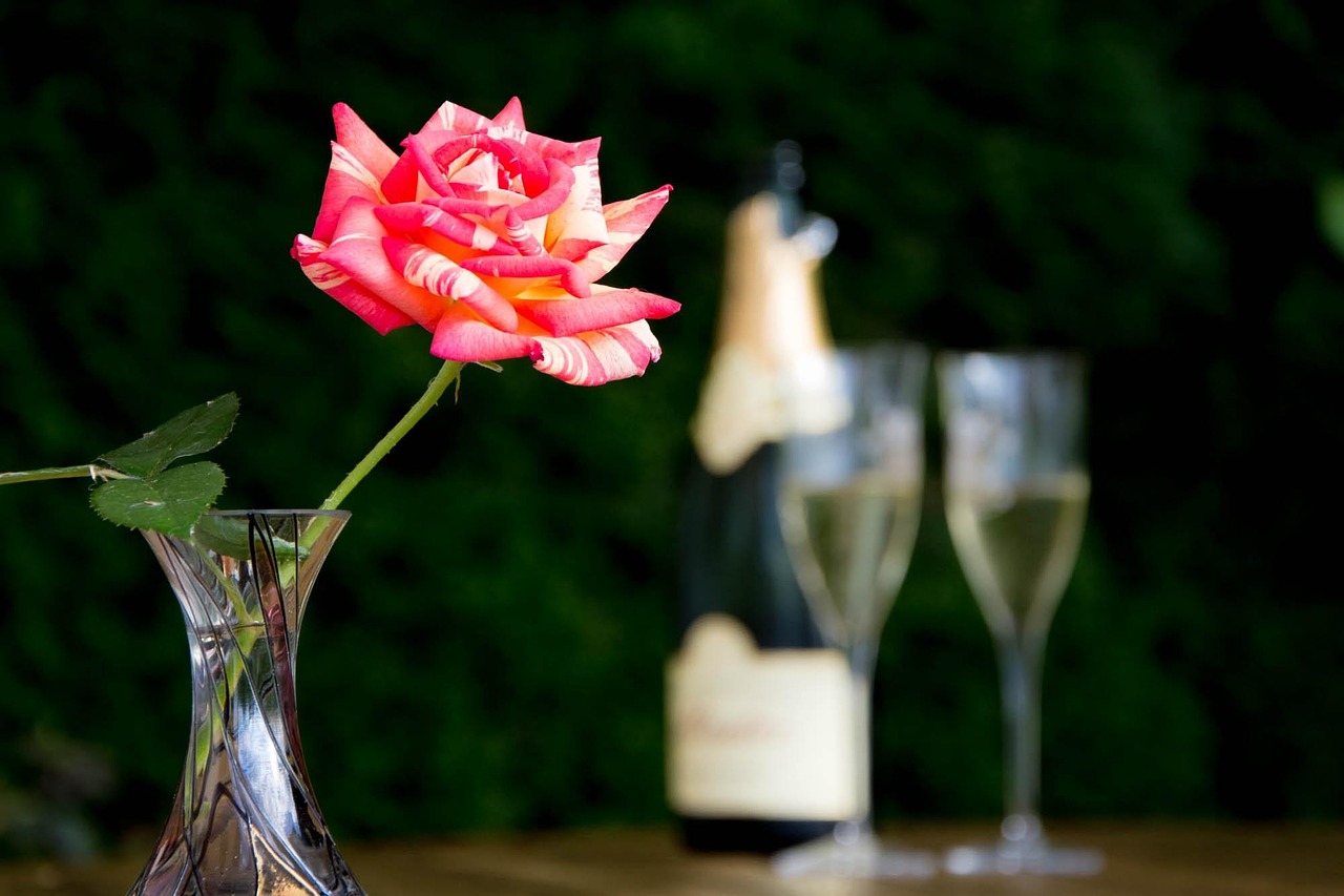 300+ kostenlose Aperitif und Trinken-Bilder - Pixabay