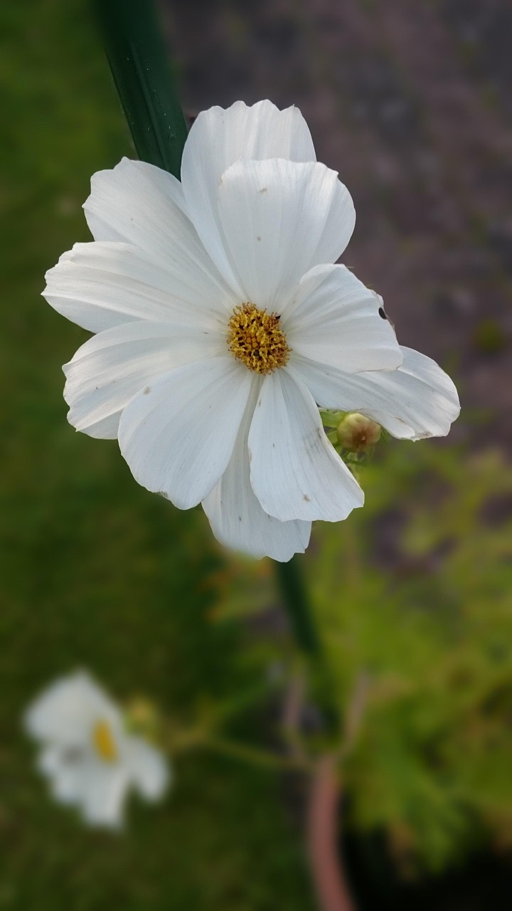 1+ Free Hanbury & Worcestershire Images - Pixabay