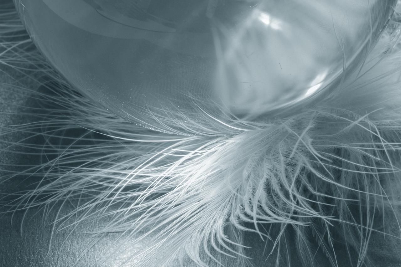 Glass Sphere Feather Ease - Free photo on Pixabay