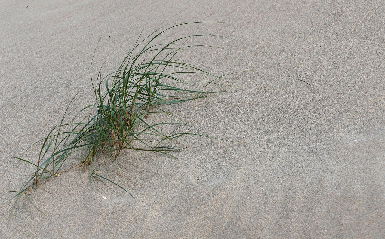 Penhale Sands Perranporth Cornwall - Free photo on Pixabay - Pixabay